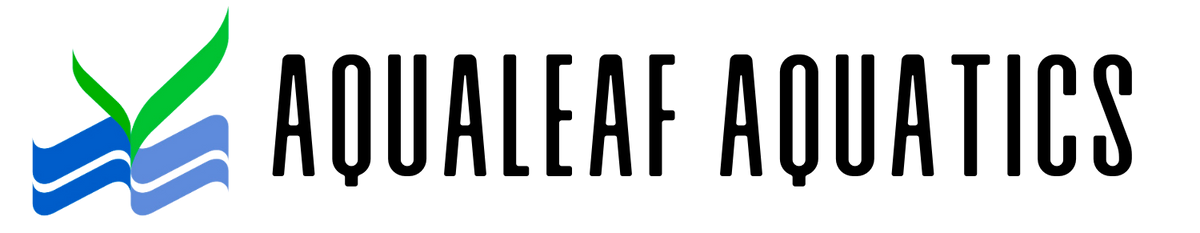 Plant Bundles – AquaLeaf Aquatics – Aqua Leaf Aquatics